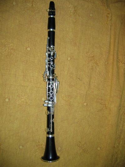 Clarinetto - Fisica, onde Musica