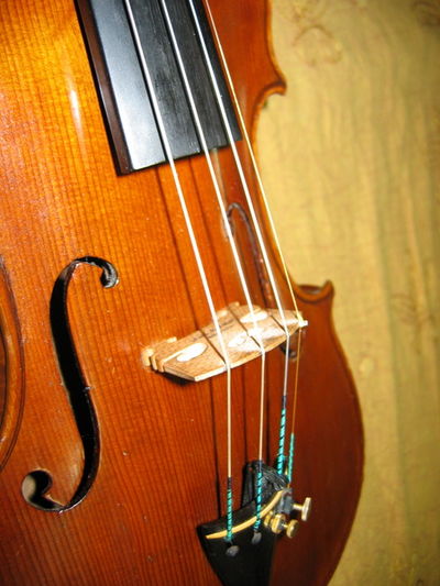 Violino - Fisica, onde Musica