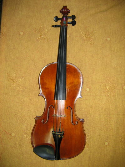 Violino - Fisica, onde Musica